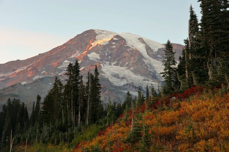 Mount Rainier National Park - Nationalpark Guide